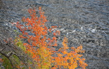 Colorado Fall